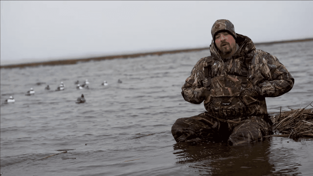 Get Set for Thrilling Diver Duck Hunting With Birdtail Waterfowl ...