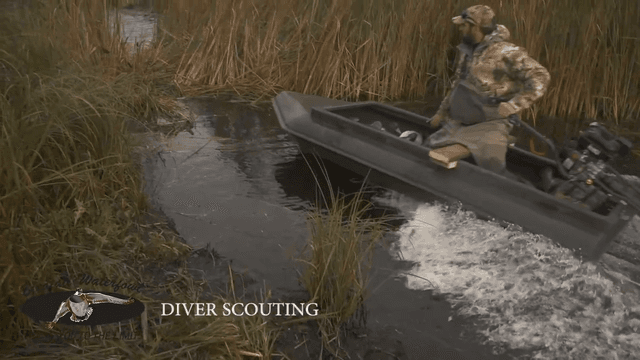 Get Set for Thrilling Diver Duck Hunting With Birdtail Waterfowl ...