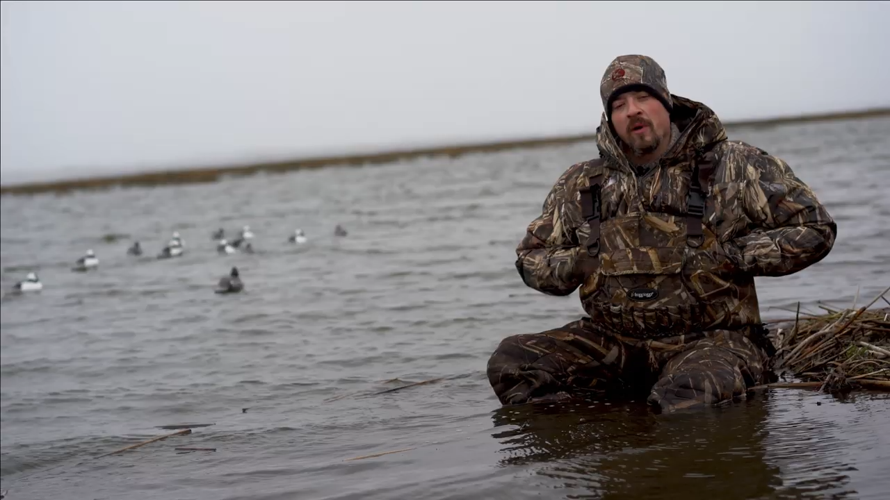 Get Set for Thrilling Diver Duck Hunting With Birdtail Waterfowl ...
